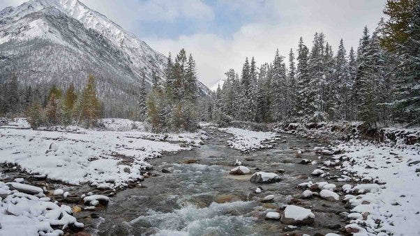 Siberia: A Continent of Facts. Interesting facts about Siberia | by ...