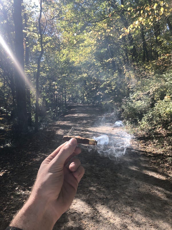 The One Unhealthy Fact Blunt Smokers Won’t Admit | by Ben Owens | Medium