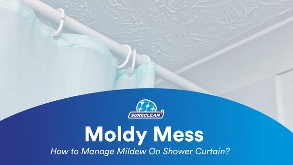 Moldy Mess: How to Manage Mildew On Shower Curtain? - Sureclean ...