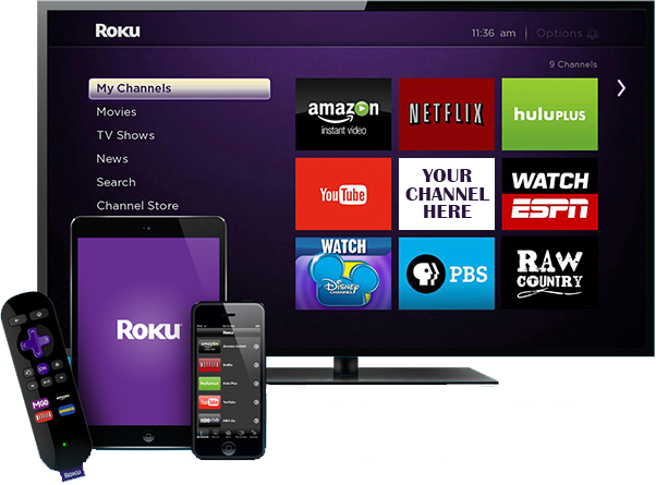 How to Build Your Outrageously Profitable Roku Channel | by Phil ...