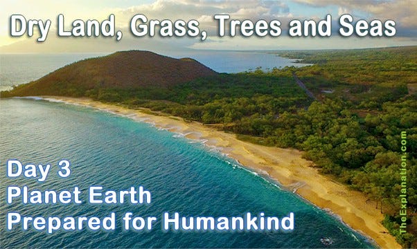 Dry Land, Seas, and Flora. Why this Combination on Day 3 of Creation ...