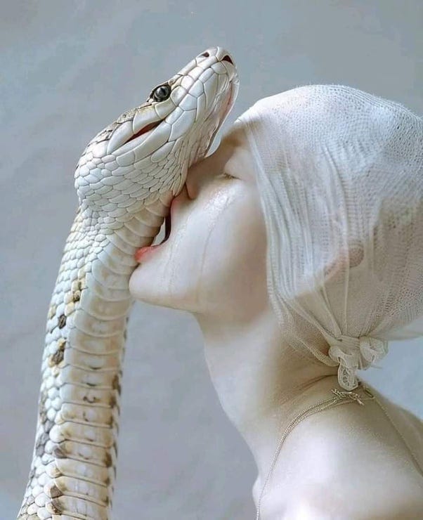 Unveiling the Complexities of Female Psychology | by Alamgirian | Mr ...