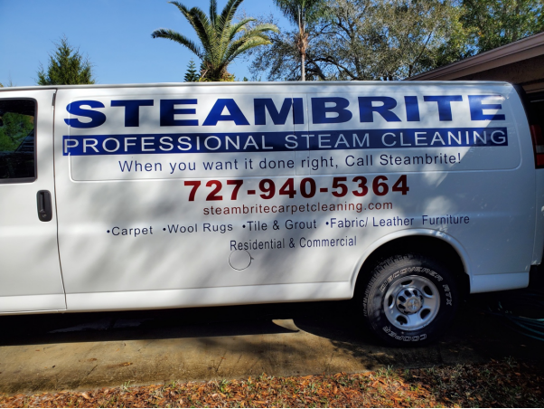 Wool Rug Elegance Unveiled: A Journey into Steambrite’s Stain Removal ...