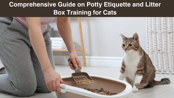 Comprehensive Guide on Potty Etiquette and Litter Box Training for Cats ...