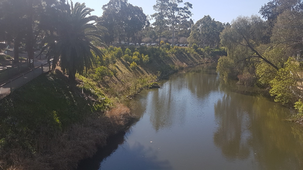 The Torrens Lake was a Mistake. The Torrens River (Karrawirra Parri) is ...