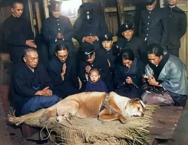 A loyal dog who waited 9 years. Last photo of Hachiko, the faithful dog ...