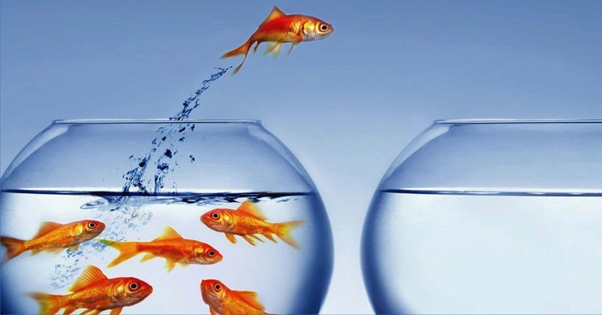 Here’s Why You Must Reinvent Your Company | by Mark Rivenbark | Medium