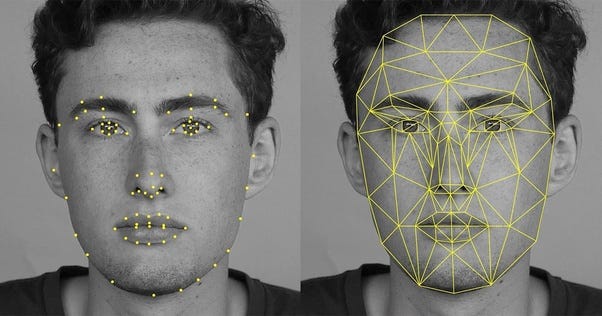 Building Your Own Facial Recognition System | by Ted Troxell | Medium