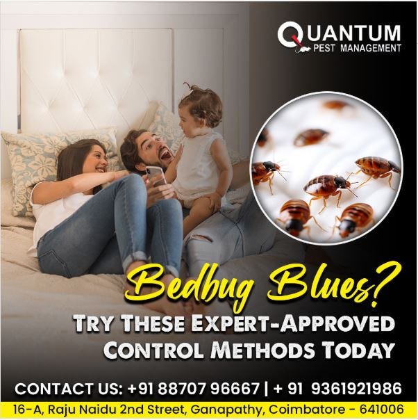 Bed Bug Control Service in Coimbatore | Effective Bed Bug Treatment by Quantum Pest Management ...