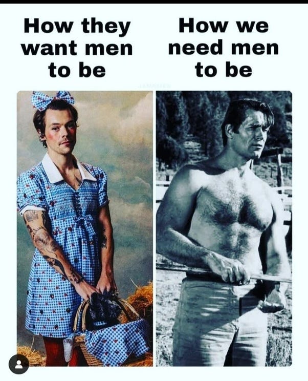 Are men becoming less masculine? (And Why this is a drastic problem ...