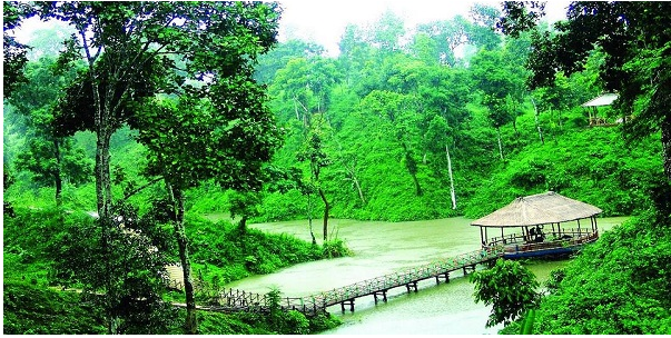 Most famous hill station of Tripura | by IndiTrip | Medium