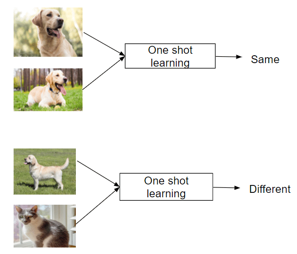 Siamese Nets: A Breakthrough in One-shot Image Recognition | by Dong ...