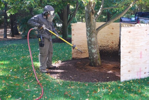 Professionals Plant Healthcare Service — North Eastern Tree Service - North Eastern Tree Service ...