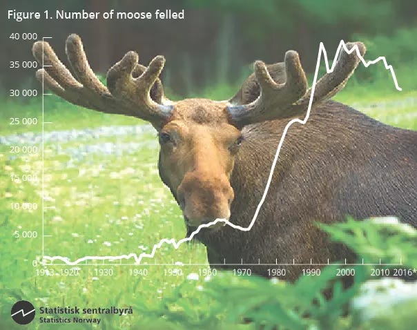 Moose do better. The region’s leading provider of exotic… | by The ...