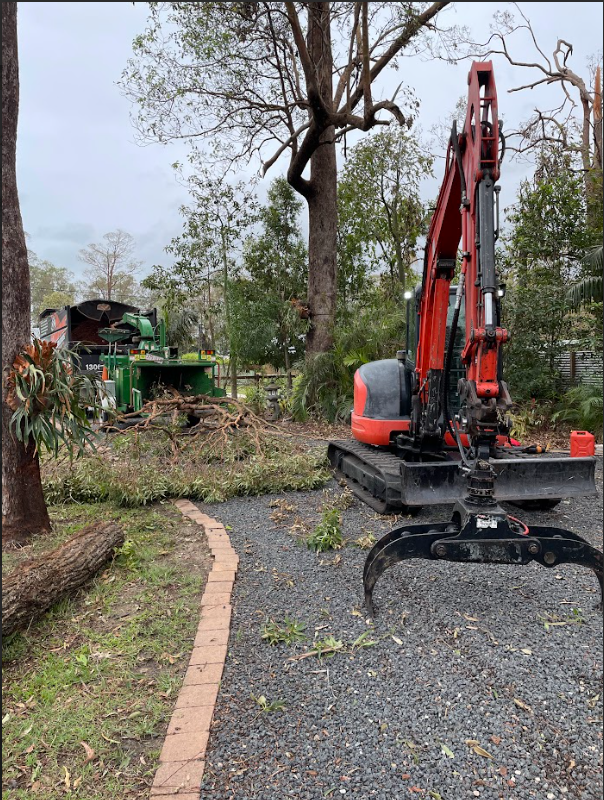 Tree Removal Greenbank | Dynamictreesolution.com.au - Dynamic Tree Solutions - Medium
