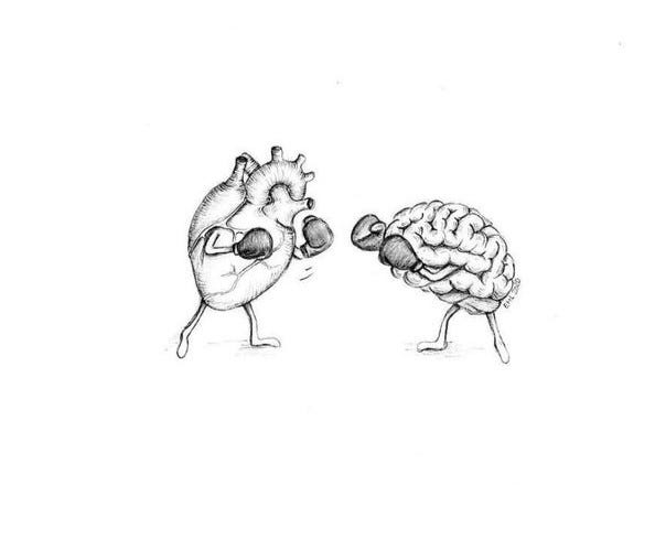 Heart Is At War With Brain: Heart vs. Brain | by Fatima shk | Sep, 2024 | Medium