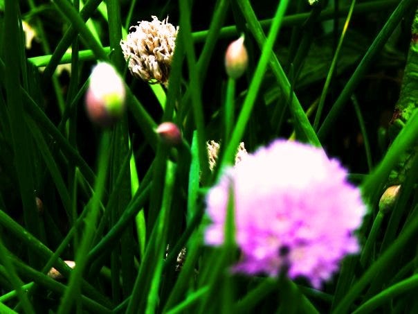 The Sneezy Princess. A new recount of a common age-old tale… | by Mary ...