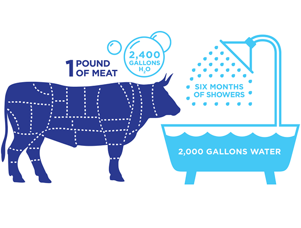 Veganism — is it as Good for the Planet as it Sounds? | by Sofia Lepore ...