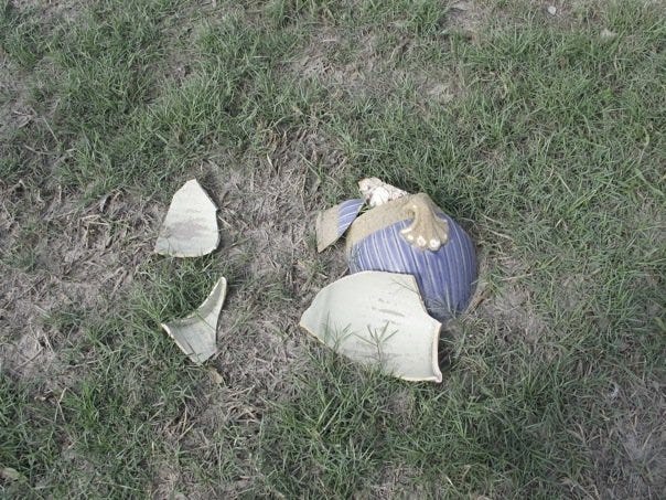 Battle Scars. This is a repost of a blog I wrote in… | by Lisa ...