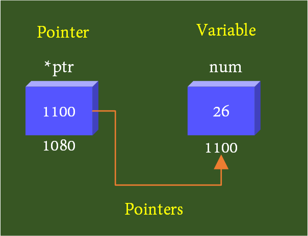Pointers in C Language. 1. Introduction | by Dennis Chang | Medium