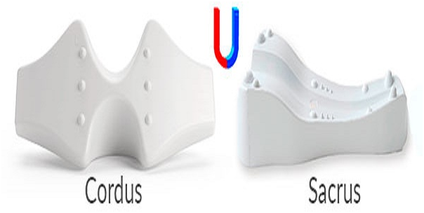 Cordus — All About a Spinal Cord Injury | by Cordus | Medium