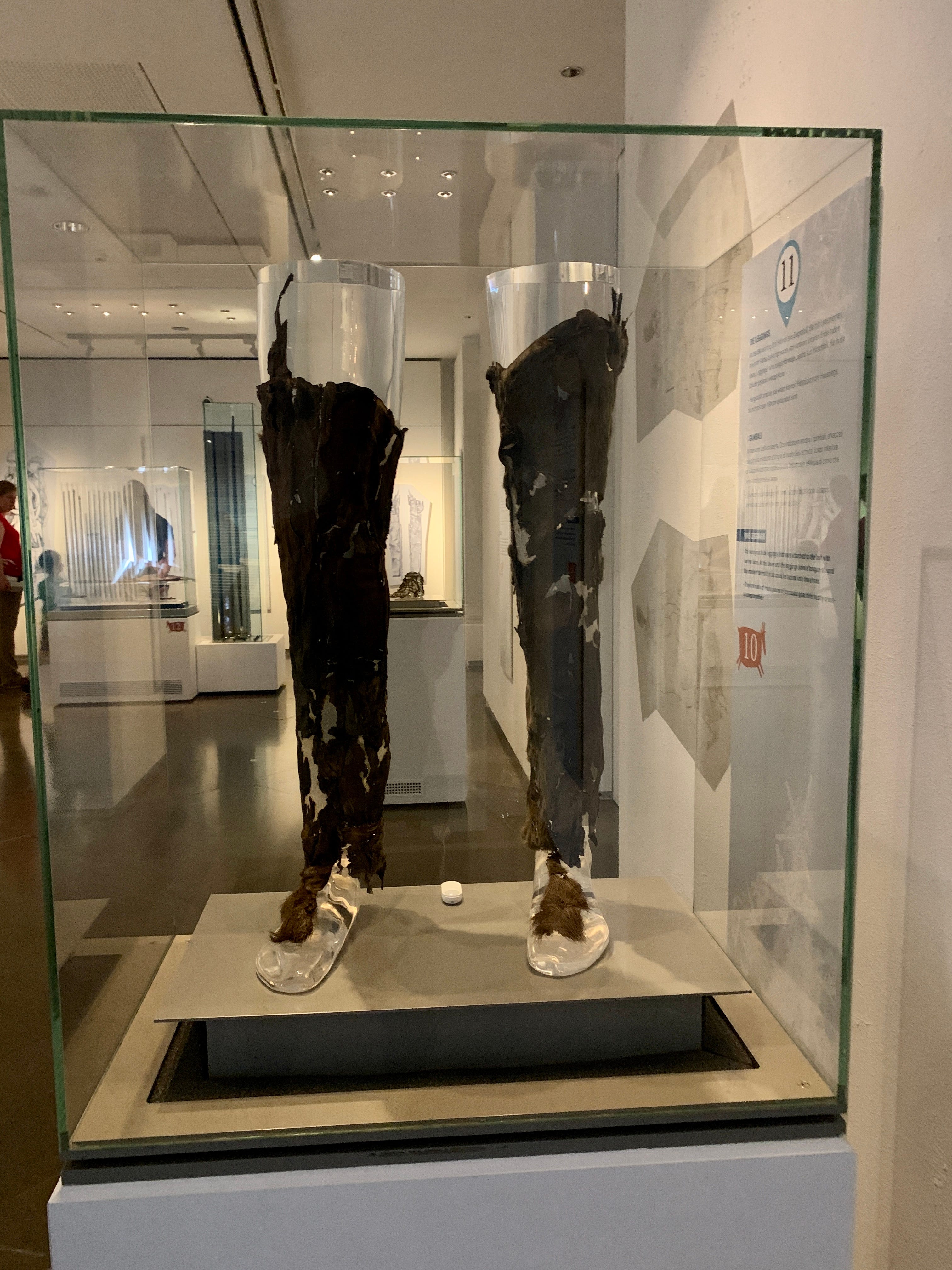 Otzi In The Museum