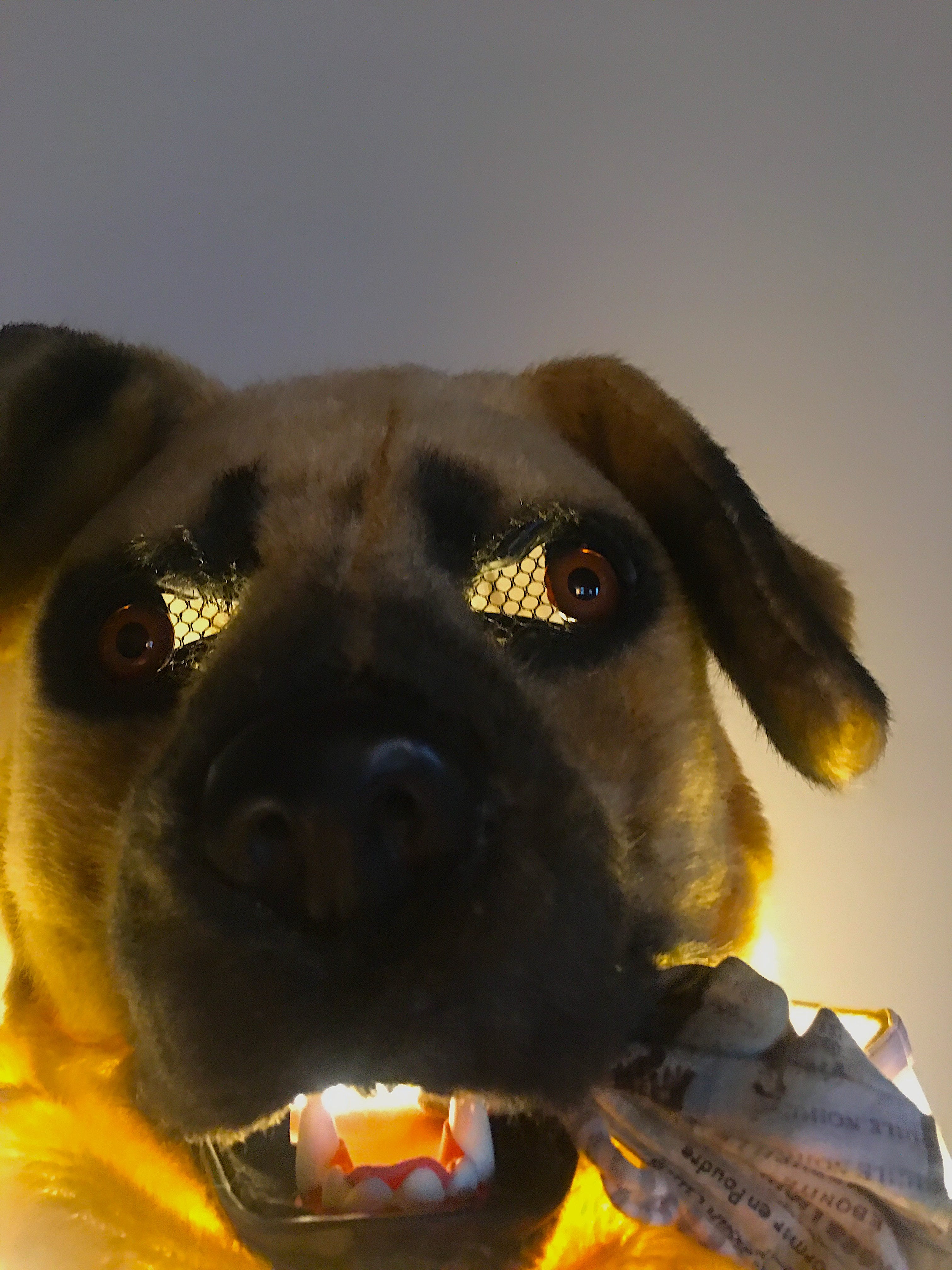 Really Scary Dogs