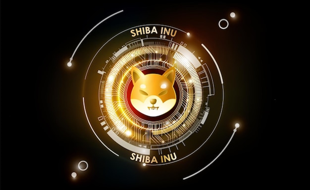 Shiba Inu: A Meme Token with Real Bite | by Ayush Mittal | Medium