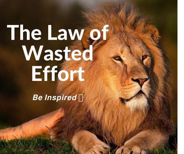 Embracing the Law of Wasted Effort for Business Success! | by Prasanna ...
