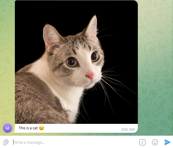 Send messages on Telegram group using Python | by Huong Bui | Medium