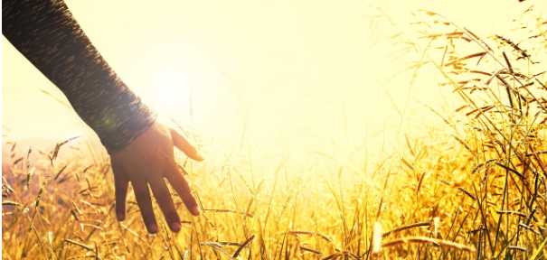 Exploring Your Potential; A Personal Journey | by Love Your Life | Jan ...