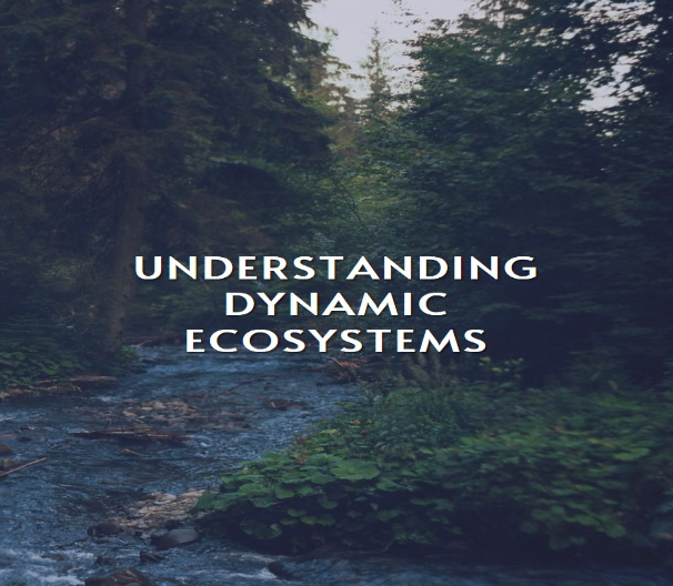 The Dynamic Ecosystem lies at the core of the Interconnected Business ...