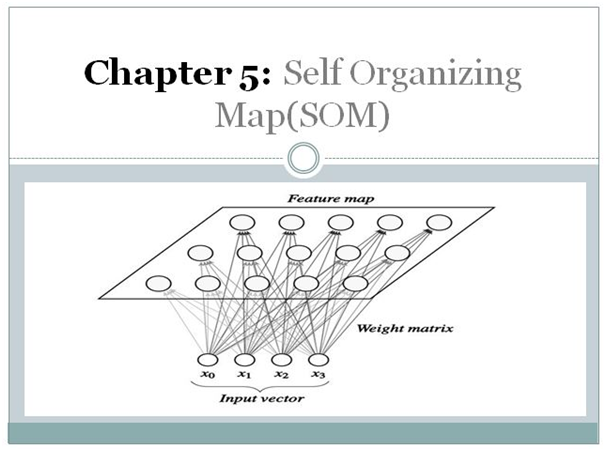Self Organizing Map(SOM) with Practical Implementation | by Amir Ali | Aorb Tech | Medium