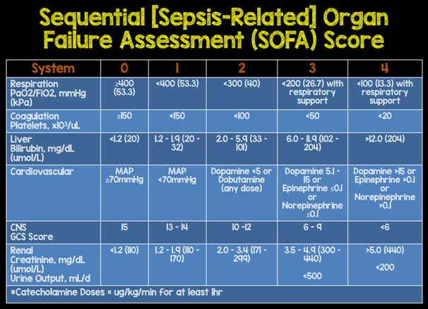 “Decoding the SOFA Scores: A Comprehensive Guide to Assessing Organ ...