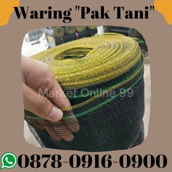 Dijamin Bagus, WA+62878901609000, Distributor inti Waring 100% Surabaya ...