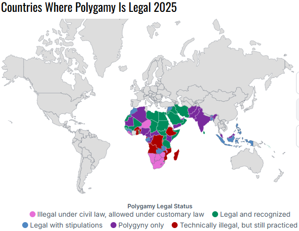 My Views on Polygamy/Polygyny— It’s Understandable, Though | by ...