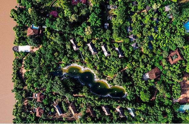 A Nature Lover’s Paradise: Tendu Leaf Resort and Ken River Lodge in ...