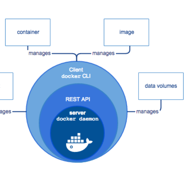 Understanding Docker Client: An Overview | by Celeste Bianca Girl | Medium