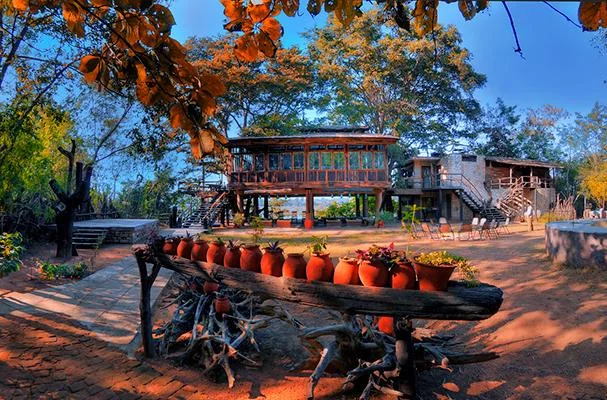 Discovering Wilderness Luxury: The Best Resorts in Panna National Park ...