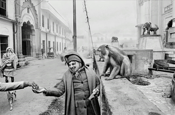 Photographer Spotlight: Raghu Rai | by Ranit Banerjea | Medium