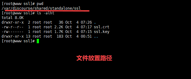 Discourse 如何不使用 Lets Encrypt 而使用 Ca 签名的密钥进行安装 By Honeymoose Medium