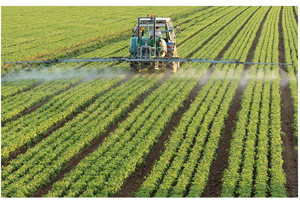 How Agriculture Contracting Can Increase Your Profit | by Elite Agro ...