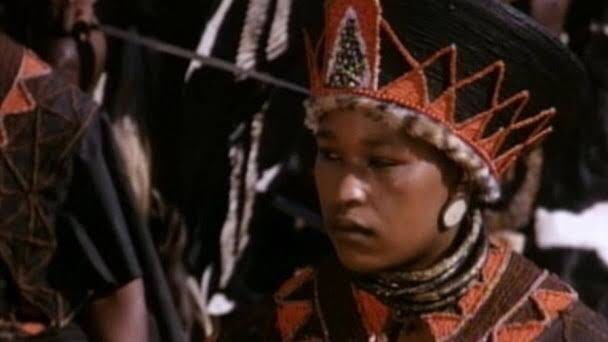 Buzani kuMkabayi. The woman who built the Zulu Nation | by Lee Ndaba80 ...
