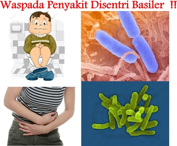 Obat Disentri Dari Jelly Gamat QnC TERBUKTI MUJARAB Dan Aman | by Sari ...