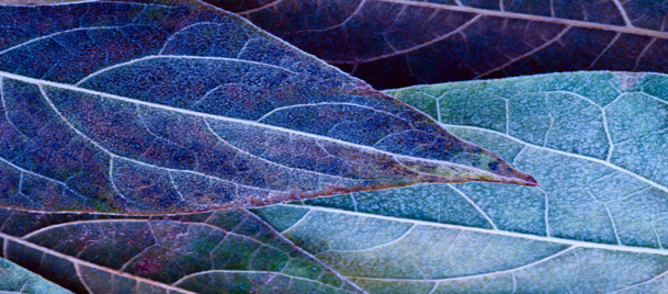 Design Pattern Cheatsheet | by Rachanee Saengkrajai | Medium