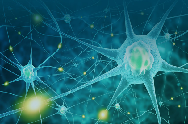 Childhood Neuroimmune Diseases of the Central Nervous System | by ...