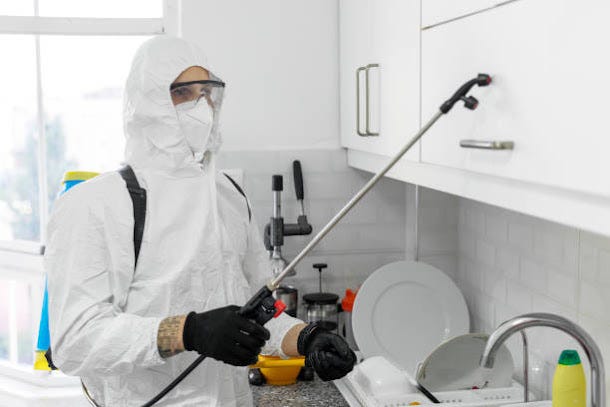 Choosing the Best Bed Bug Extermination Service: Ensuring Effective ...