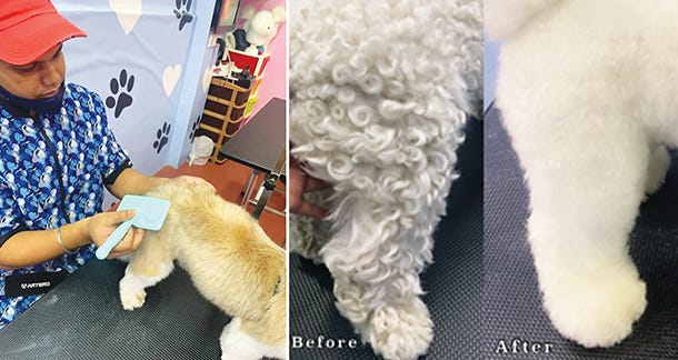 PAMPERED YOUR DOG BY GROOMING THEM | by Creature Companions | Medium