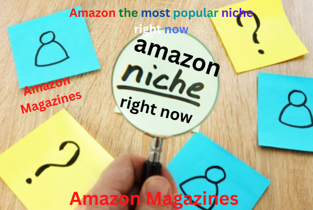 zonWhat is Amazon the most popular niche right now? - Daily Amazon - Medium