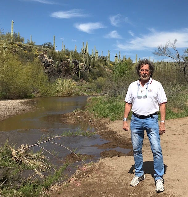 Noel Writes from Arizona. COVID-19 virus case study and advice | by ...